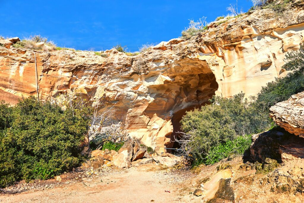 Natural Wonders of Israel: Discover Unique Treasures| Elite Transfer